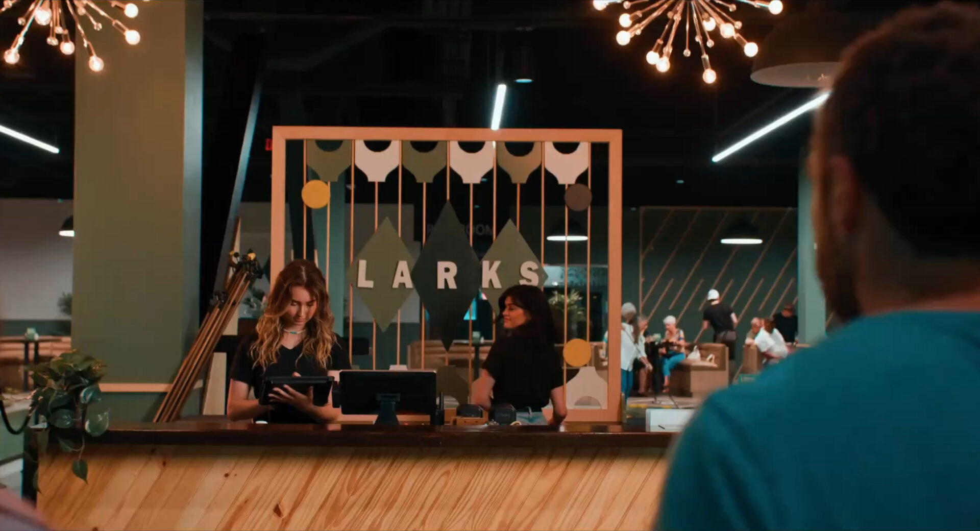 Larks - Entertainment for the Whole Family